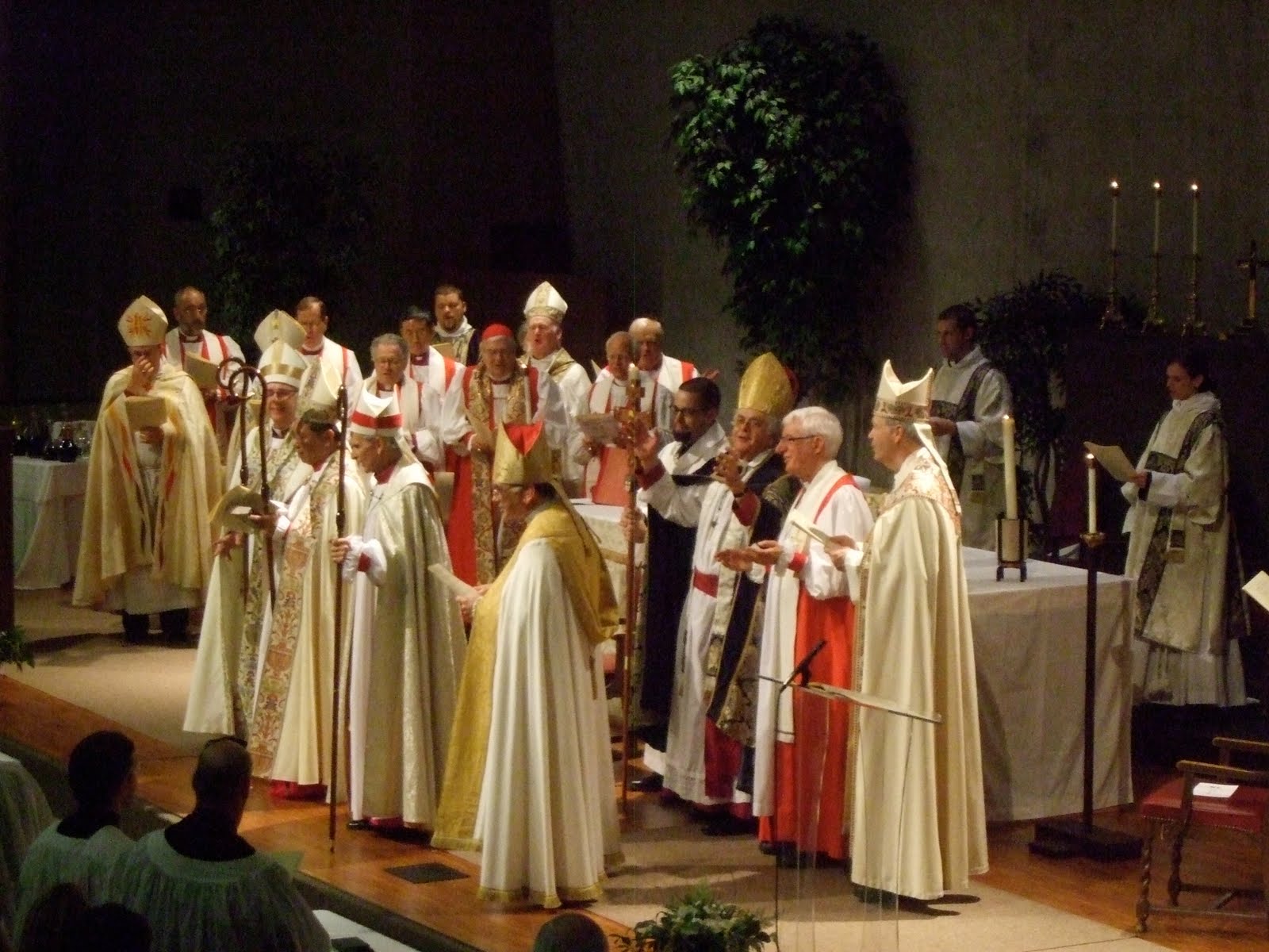 Anglicans Ablaze: Authority, Mission, and the Anglican Church in North ...